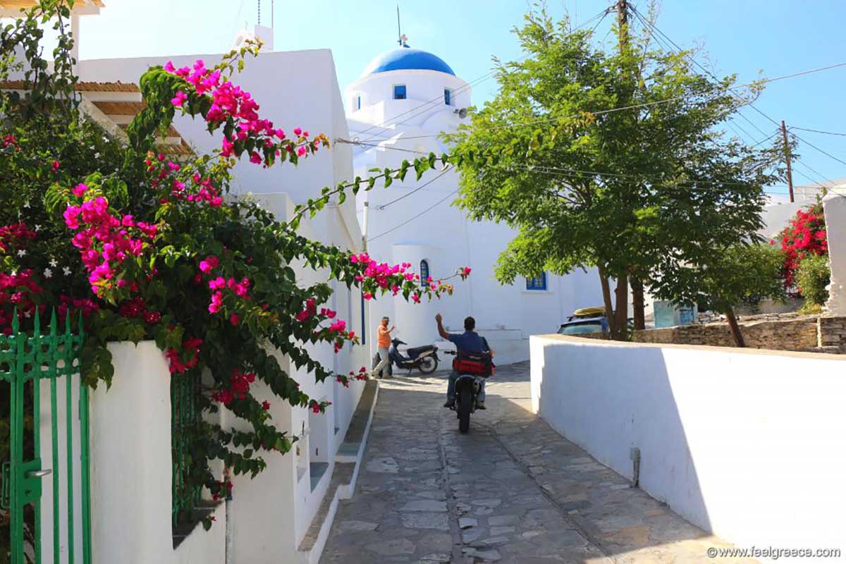 Σίφνος: Ταξίδι γεύσεων στο νησί του Τσελεμεντέ - Athens Hot Spots