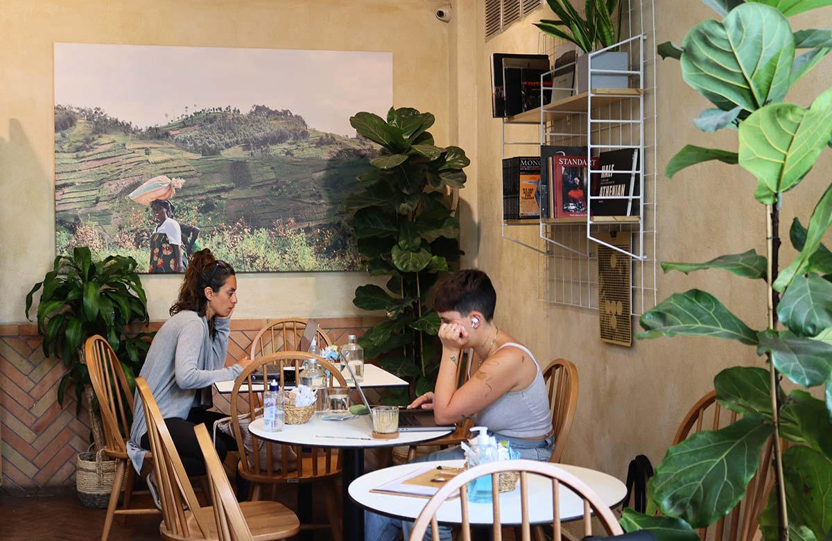 Cultivos Coffee Panormou: Μια διαφορετική προσέγγιση στον κόσμο των ...