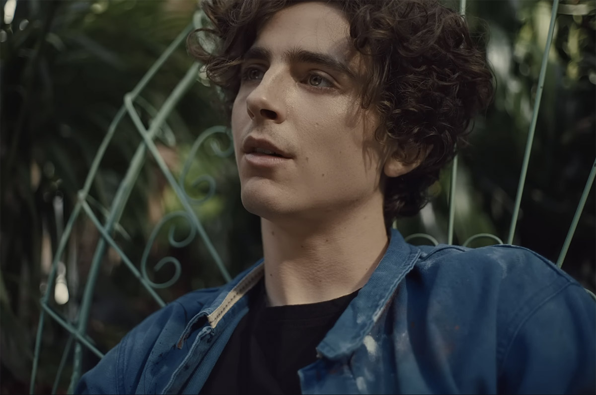 Ο Timothée Chalamet νιώθει ότι το ταλέντο του παραβλέπεται από τους ...