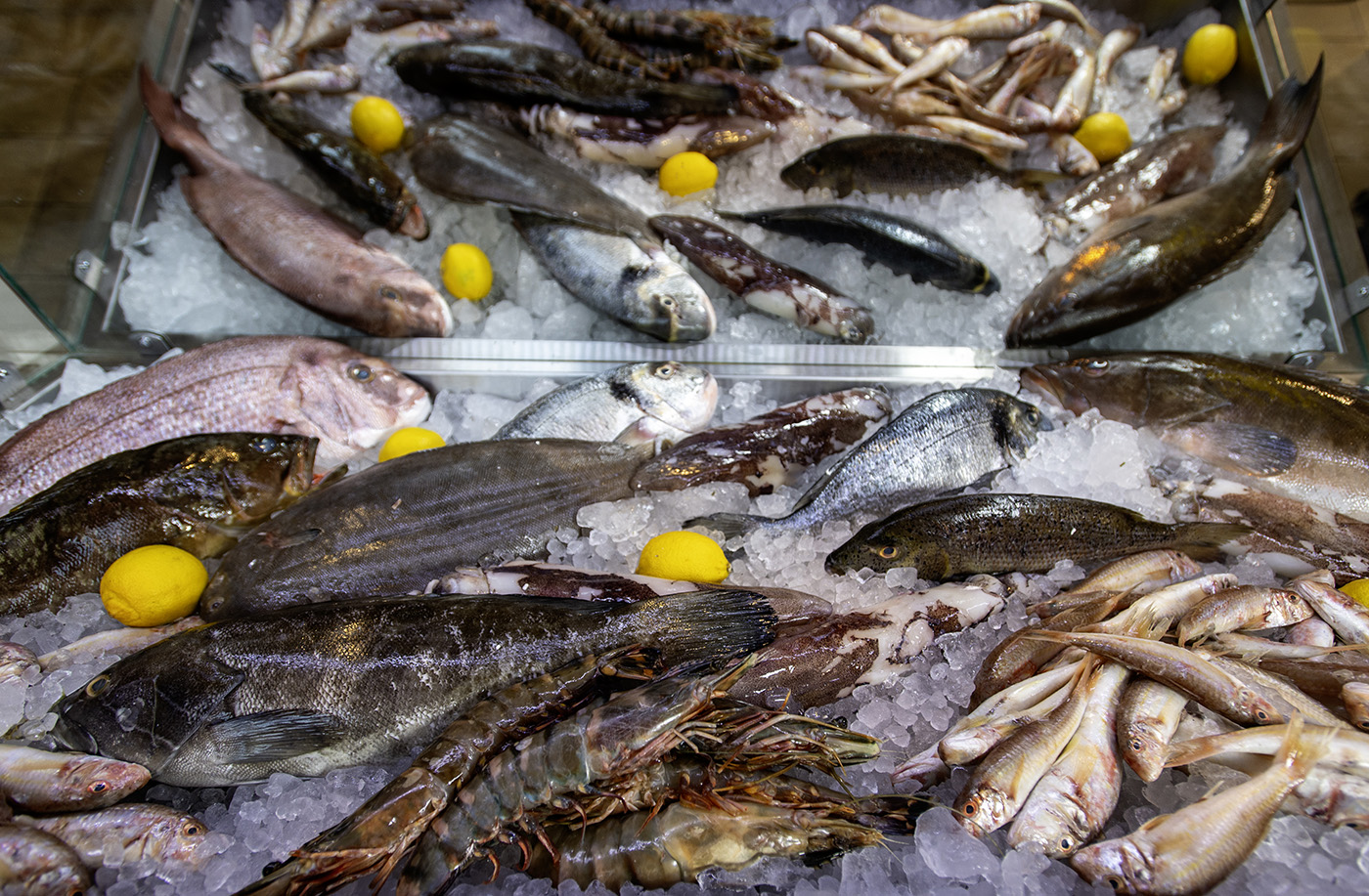 Armi Restaurant: Η νέα θαλασσινή άφιξη που άλλαξε τα δεδομένα στην ...